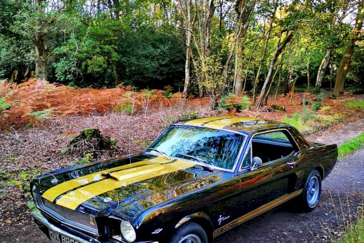 Steve Pattenden - 1965 Ford Mustang Coupe - Stance Auto Magazine